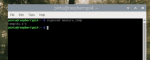 How to monitor your Raspberry Pi's Temperature - Digital Lab